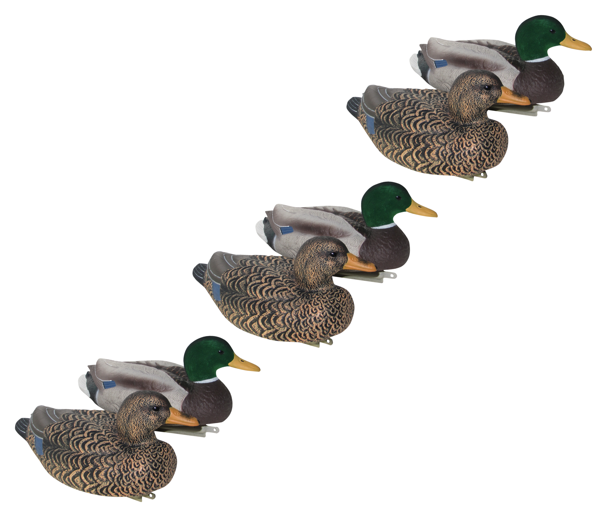 Mayhem Flocked Mallard Duck Decoys 6 Pack | Mack's PW